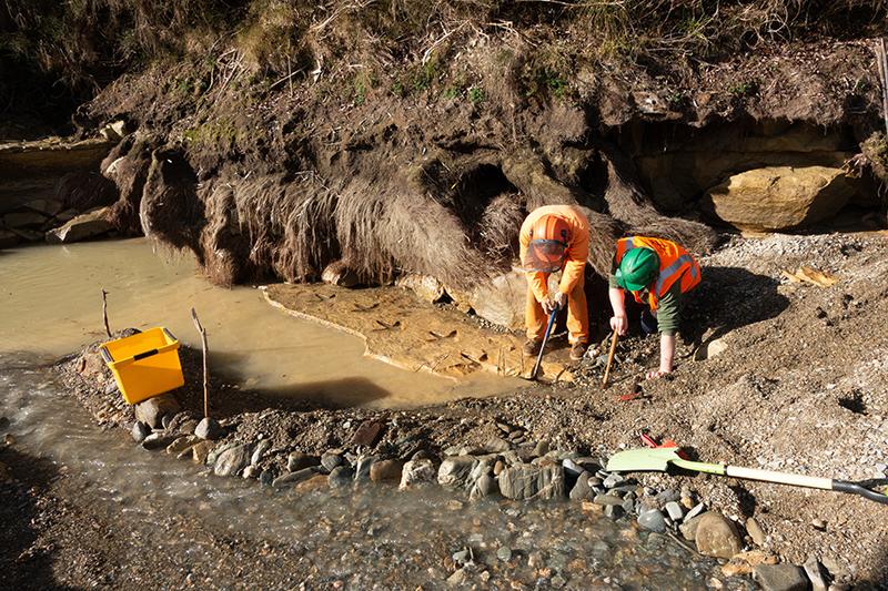 Feathery moa’s fossilised footprints, ancient age revealed | ANSTO Feathery moa’s fossilised footprints, ancient age revealed | ANSTO